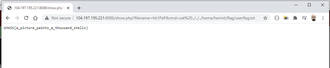 UMassCTF ’21: Web: Hermit – Part 1 – Terminal Cats